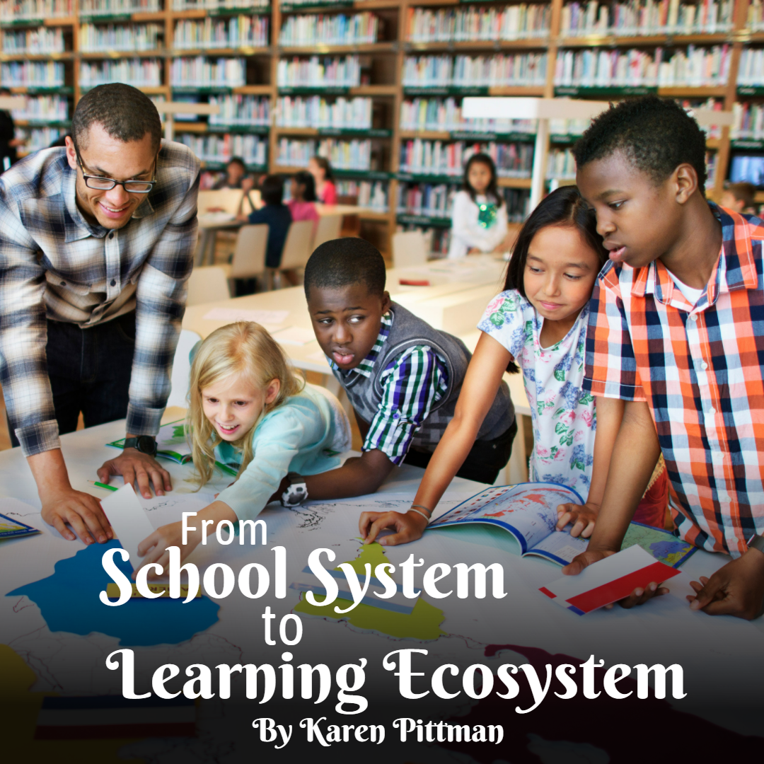 From School System to Learning Ecosystem Part 2 – Changing The Odds Remix
